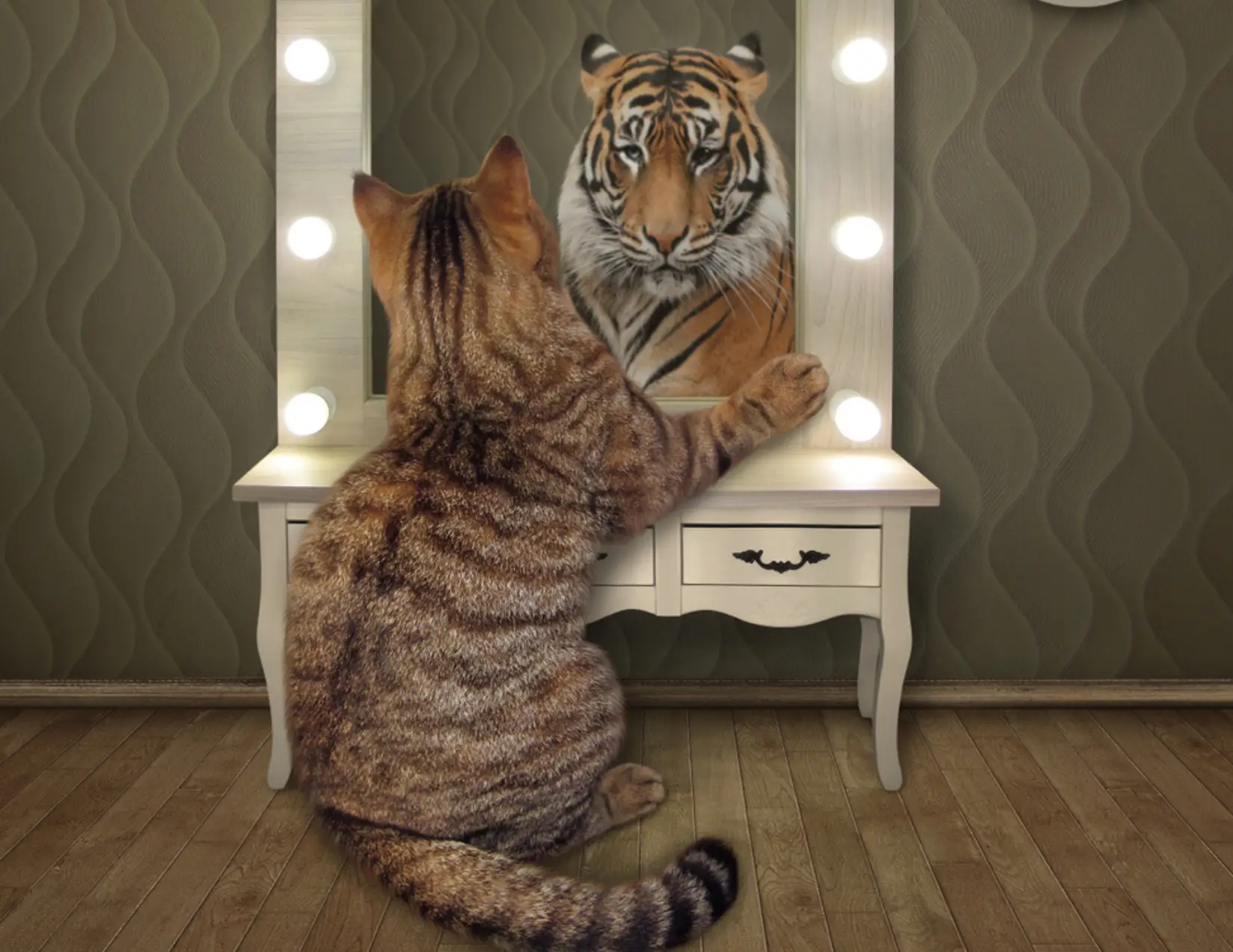 Narcissism Discussion with Dr. Lev & Dr. Walser - Bay Area CBT